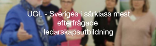 UGL Kurs - Utveckling av grupp och ledare | CoreCode